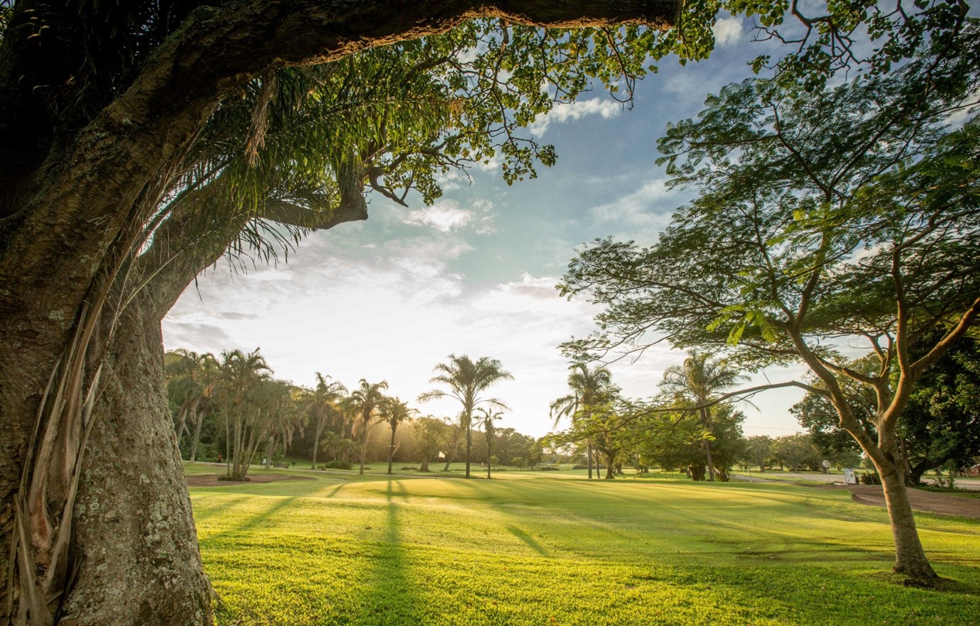 Port Shepstone Tourism: Unveiling the Jewel of the South Coast - SCTIE